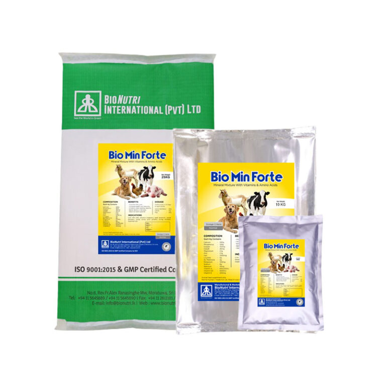 Veterinary feed Supplements for live stocks Archives - BioNutri ...